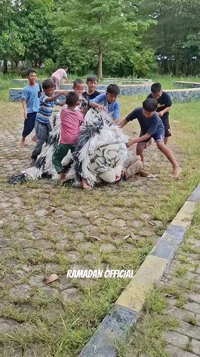 Can macanan di kroyok bocil yang lagi asik main - YouTube