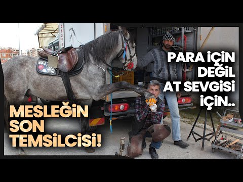 At Sevgisi 35 Yaşında Nalbant Yaptı