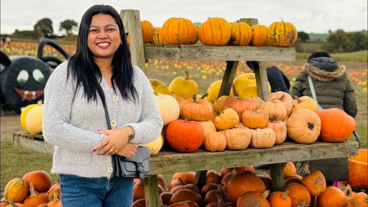 Pumpkin Patch adventure | Nottinghamshire | Pumpkin Patch Experience in ...
