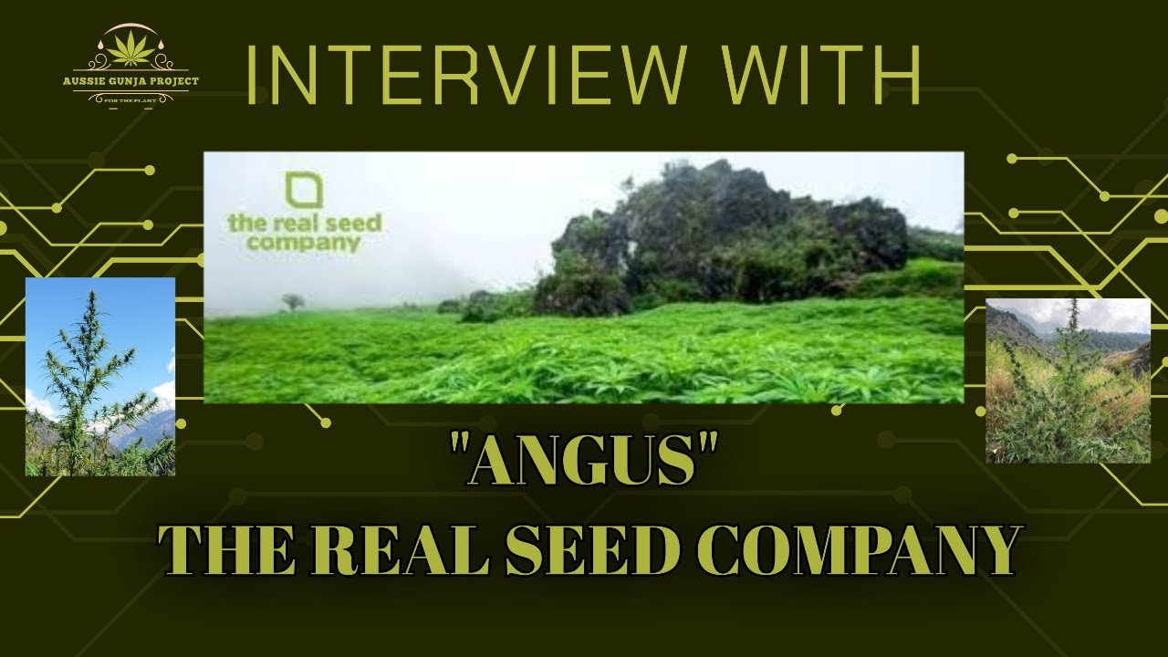 AGP: Interview with THE REAL SEED CO - YouTube