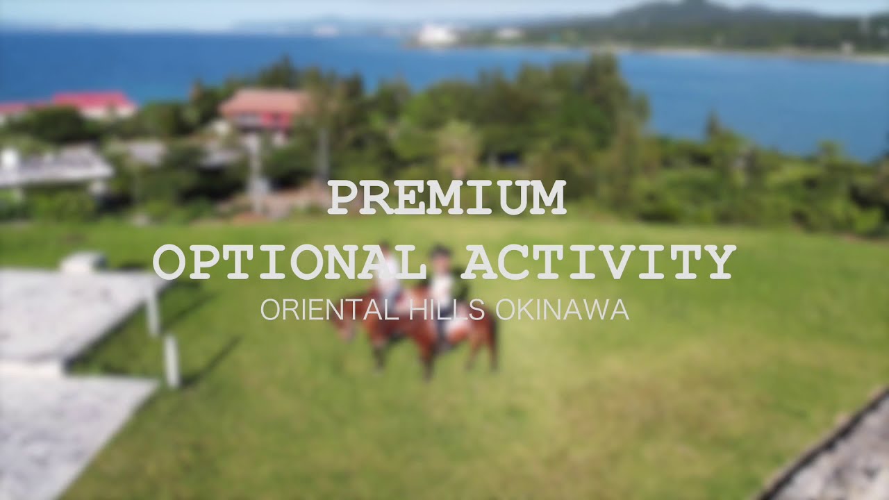 Super PREMIUM Activity 馬に乗ってビーチのお散歩 - YouTube