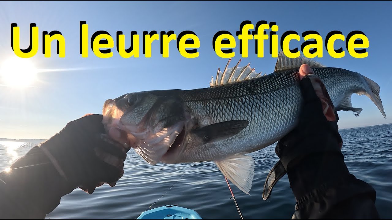 Un leurre efficace. - YouTube