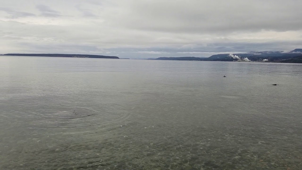 Jan 5 19 partial solar eclipse chant - YouTube