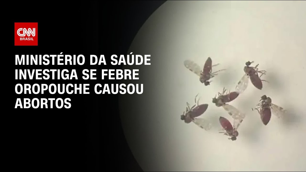 Ministério da Saúde investiga se febre oropouche causou abortos | CNN ...