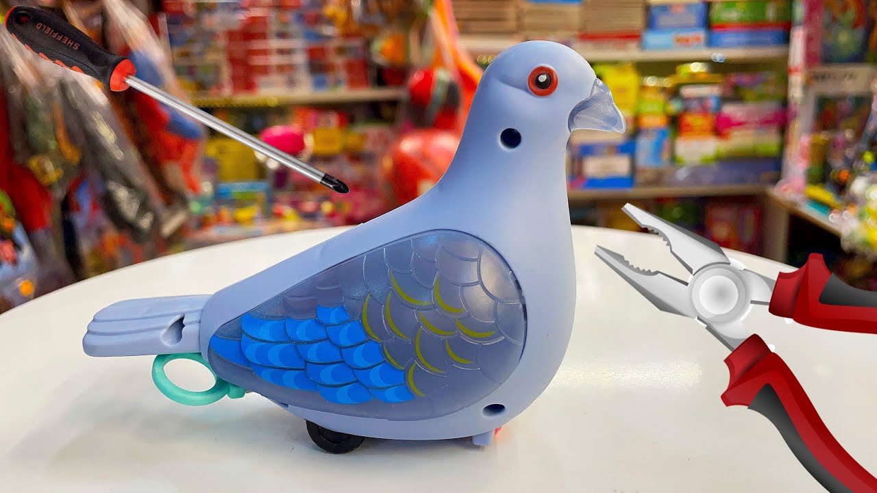 What's Inside a String Pigeon Toy?! - YouTube