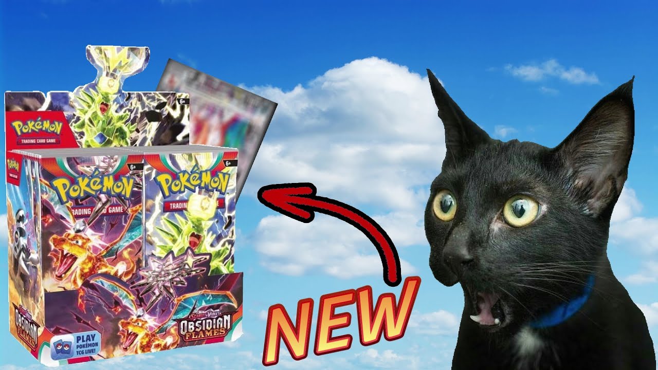 Pokemon Card Black Cat