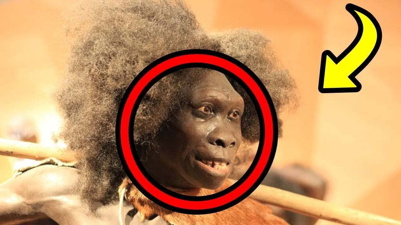 Geneticists Studying Ancient DNA Discovered A Girl Whose Parents Were ...