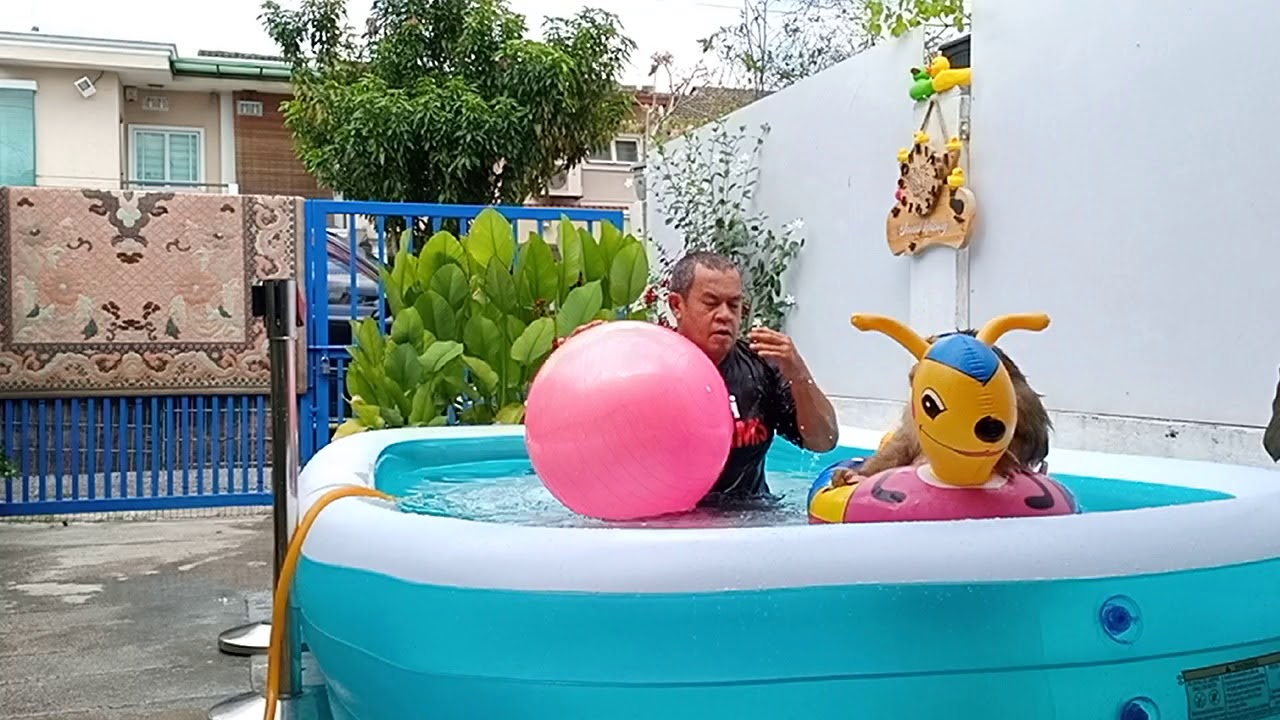 Swim with Shaki - YouTube