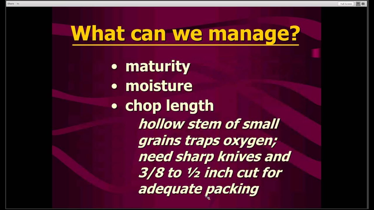 Making Small Grain Silage - YouTube