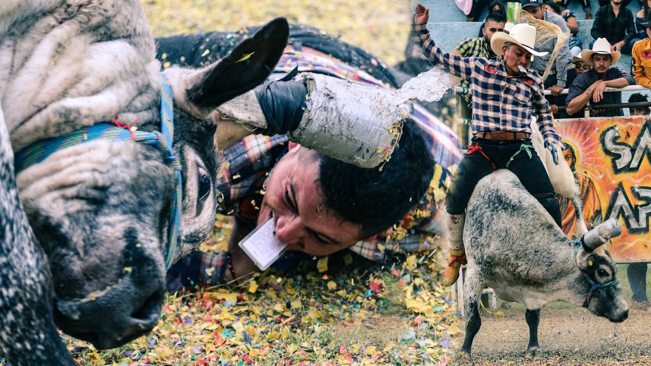 ¡LOS TOROS DE OTRA DIMENSION DE LA REVELACION EN CHARO POR PRIMERA VEZ ...