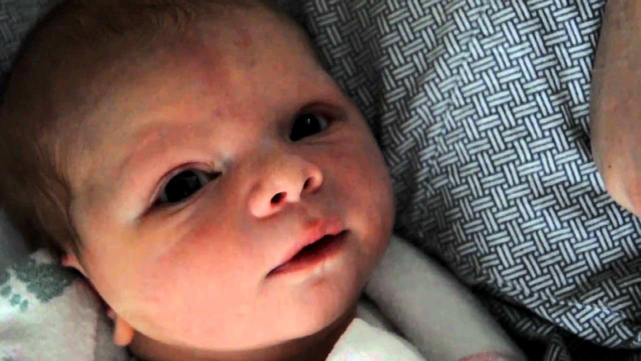 Andrew Michael de Hoyos - YouTube