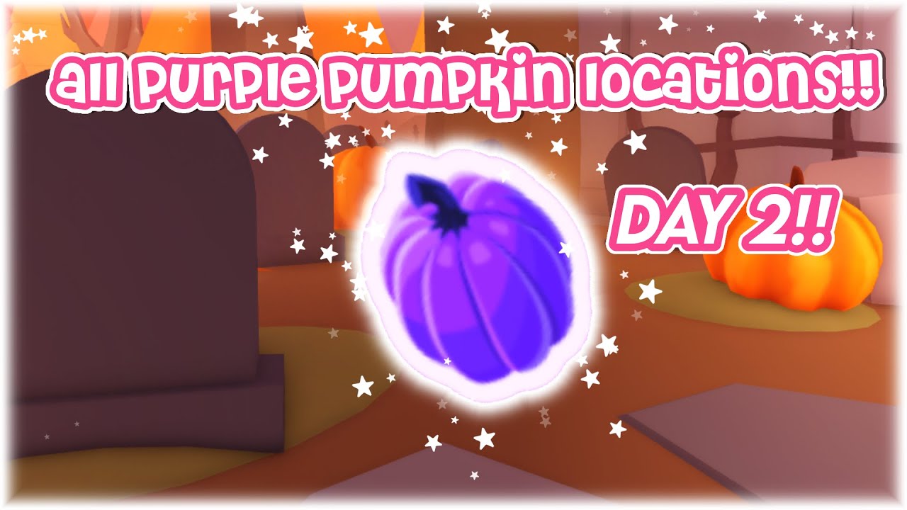 all purple pumpkin locations day 2!! in roblox adopt me!! - YouTube