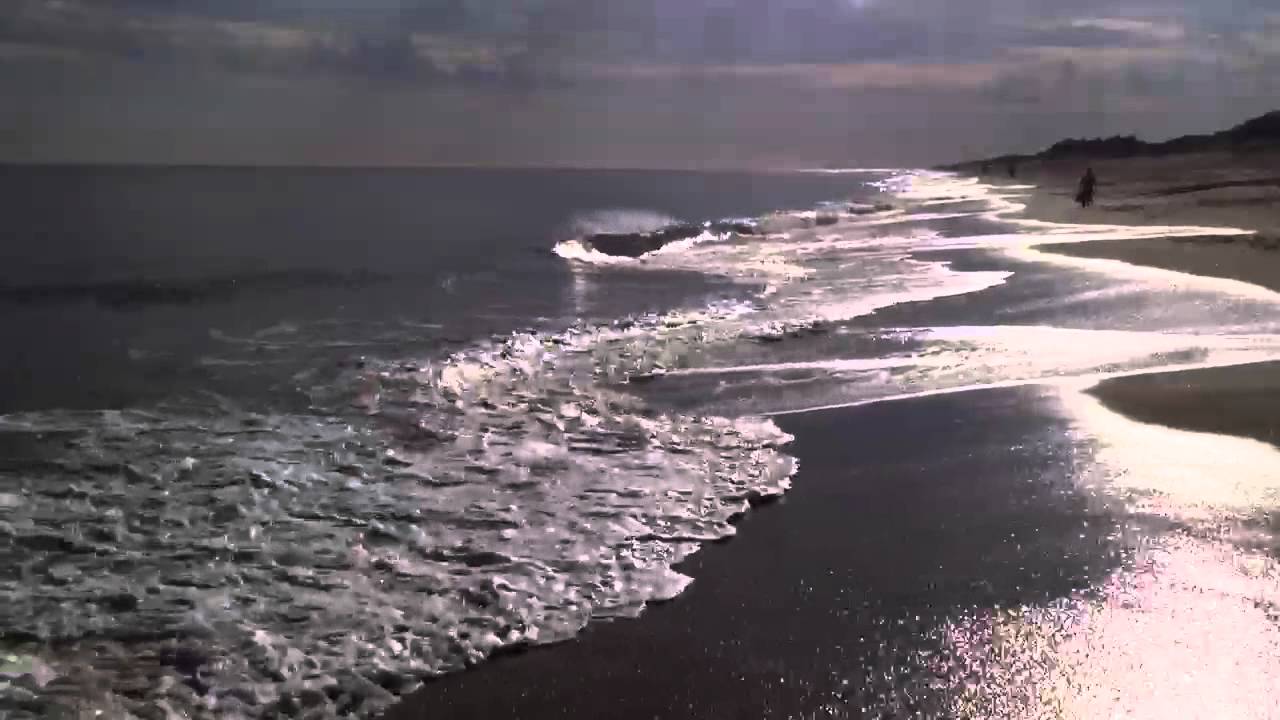 Beautiful Morning at the Beach - YouTube