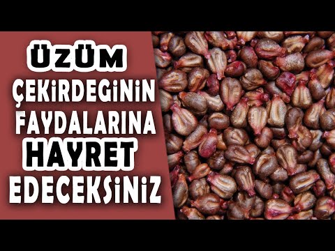 YAZ AYLARININ ŞİFALI BESİNİ (Üzüm Çekirdeğinin Faydaları)