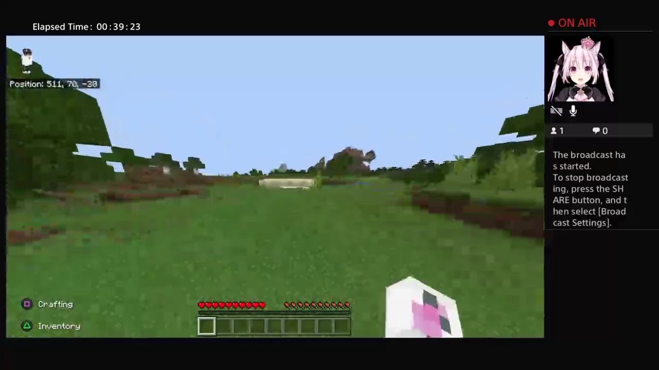 Minecraft - But Everytime I Take Damage I Get Shocked - YouTube
