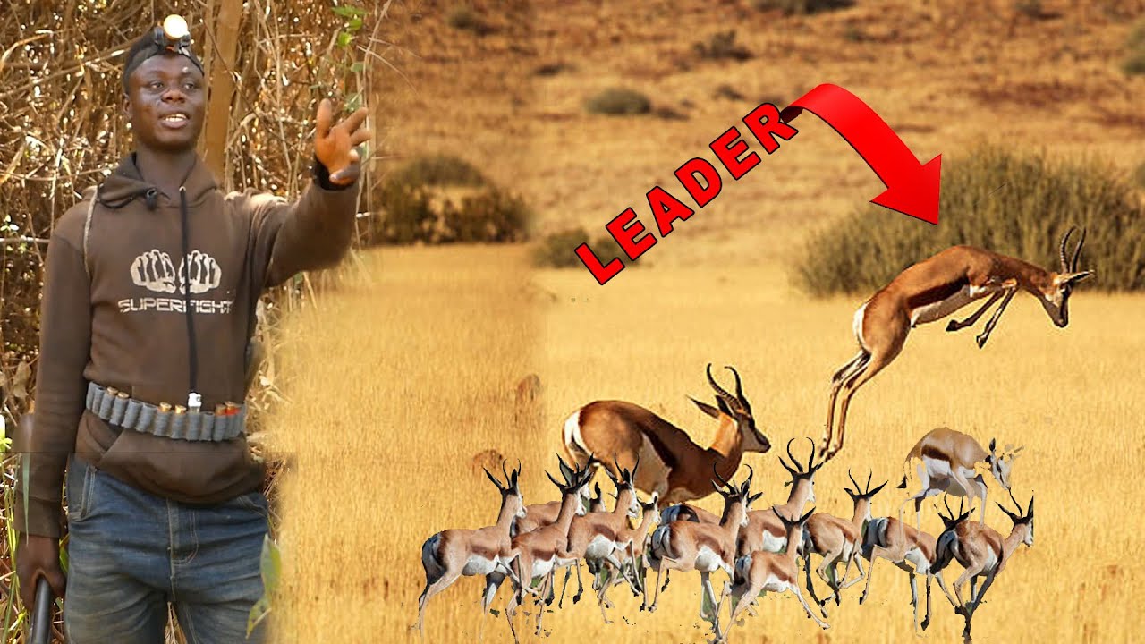 I was shocked when the leader signaled the animals to run away | Hunter ...