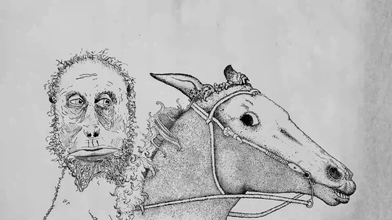 Erin K - Assholio [Official Video] - YouTube