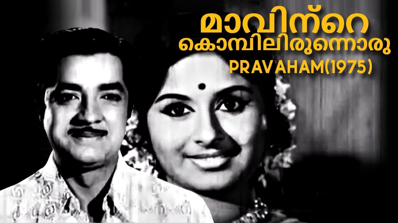 Maavinte Kombilirunnoru | Pravaham 1975 | M.K Arjunan | K. J. Yesudas ...