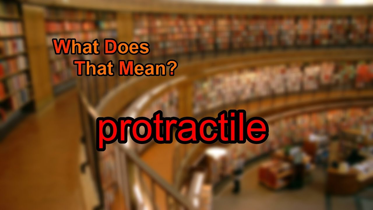 What does protractile mean? - YouTube