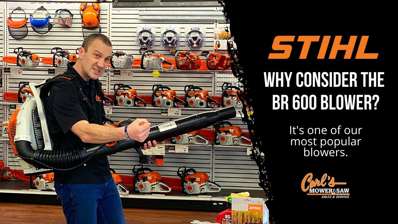 Why Consider Purchasing the Stihl BR 600? We'll Give You The Low Down ...