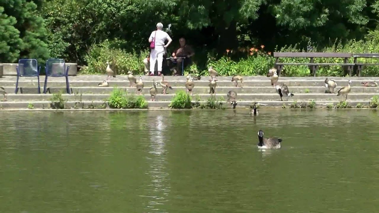LUISENPARK MANNHEIM - YouTube