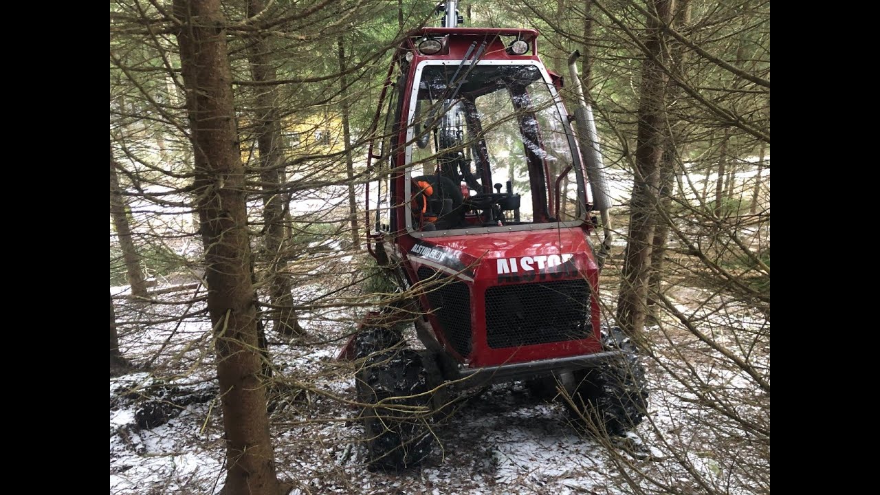 Alstor 840 Pro Tapio 160 First Thinning Spruce, Auto Mode - YouTube