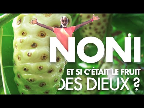 NONI, Et SI C’ÉTAIT LE FRUIT DES DIEUX ? - La Tête et Le Corps