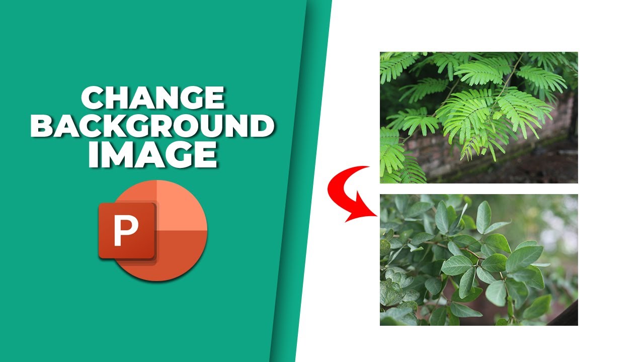 How To Change Background Image On PowerPoint Slide YouTube How To Change Background Image On PowerPoint Slide YouTube