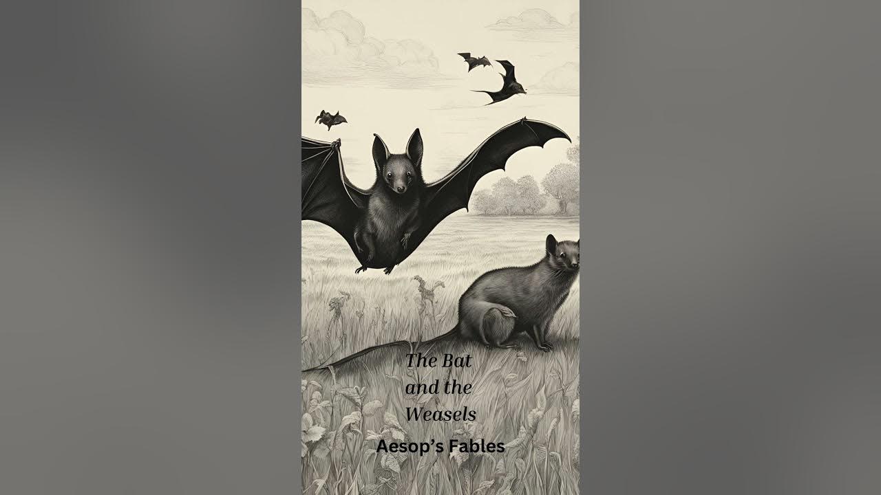 Aesop's Fables: The Bat and the Weasels - YouTube