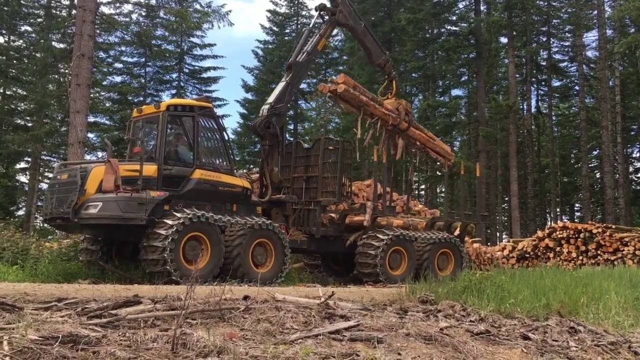 Miller Timber Services Ponsse Elephant King - Oregon - YouTube