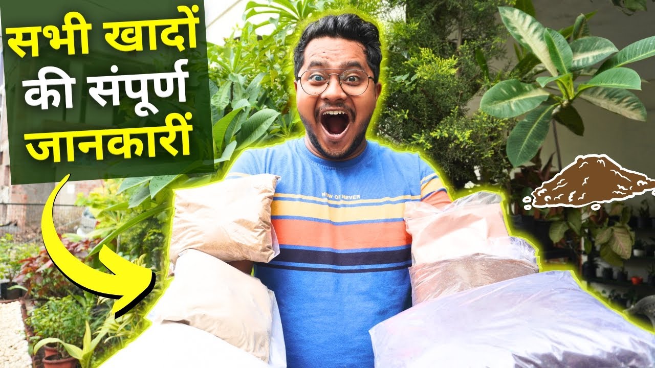 Expert Tips: Selecting the Right Fertilizer for Each Plant's Needs | A ...