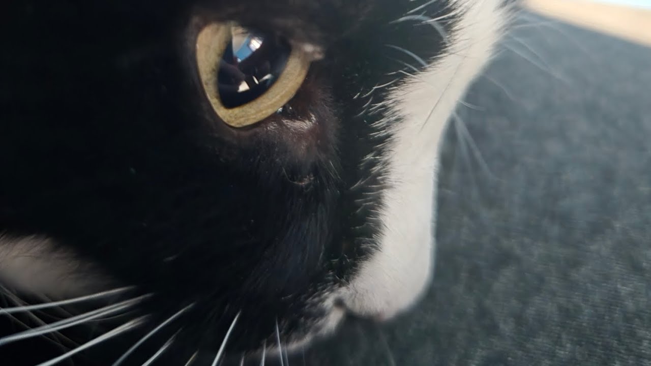 Clips of the Comp 2 Project - YouTube