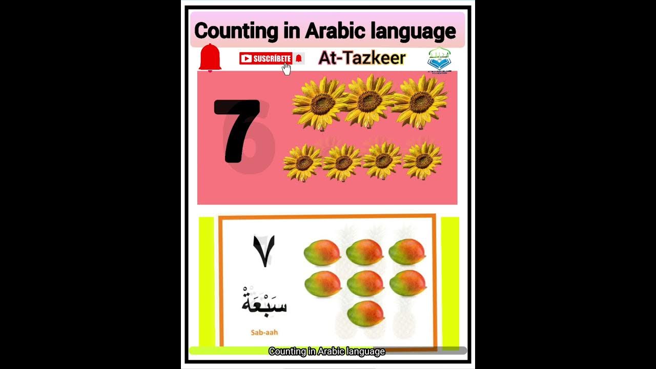 Arabic Counting||learn Counting in Arabic language||Arabic vocabulary ...