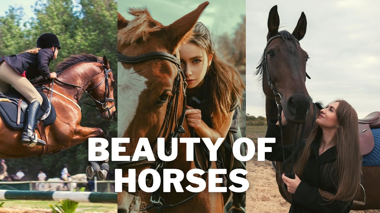 Most beautiful horses .. horse Videos Compilation .. Beautiful girls ...