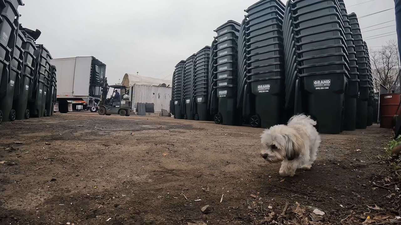 NEW JERSEY! We have Garbage Cans - YouTube