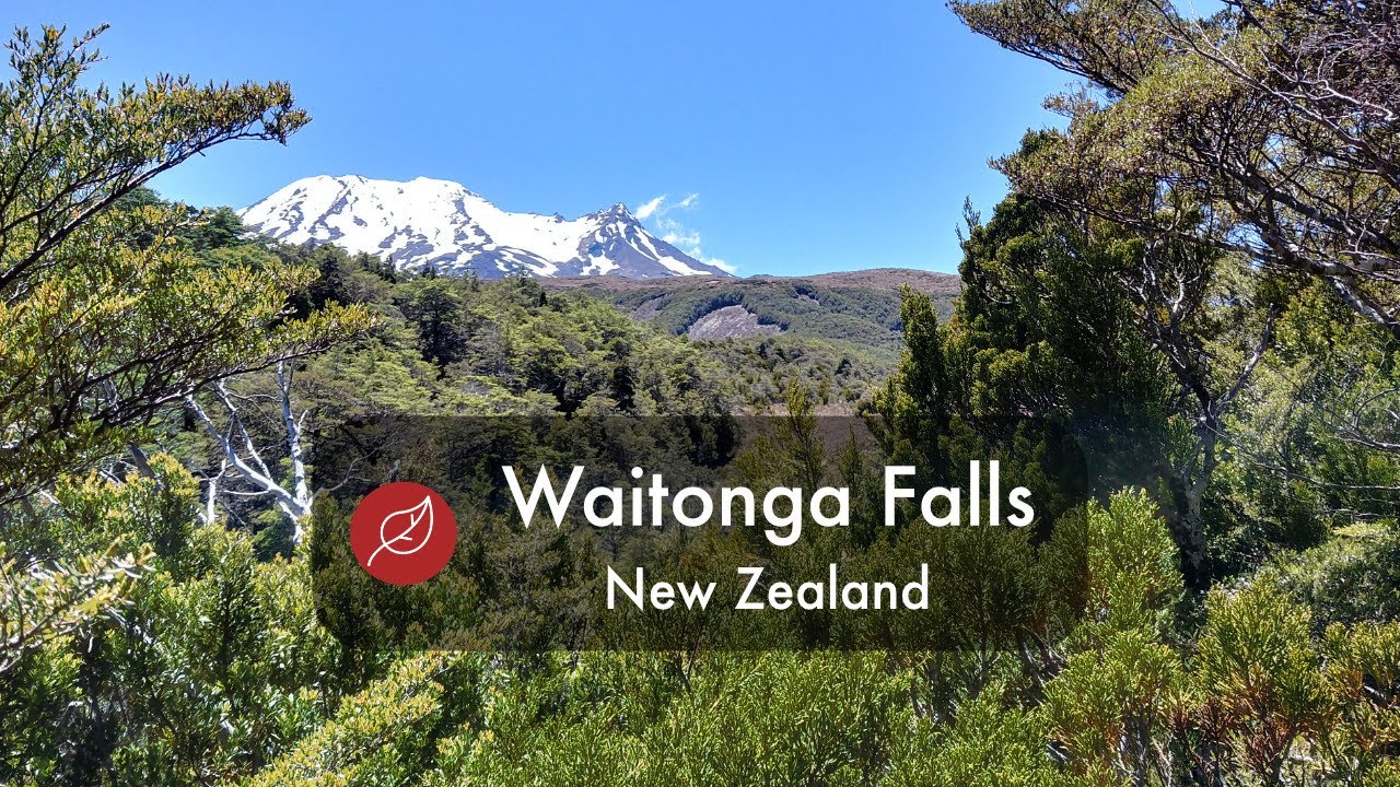 Waitonga Falls Track - New Zealand North Island Travel Hiking - 2019 ...