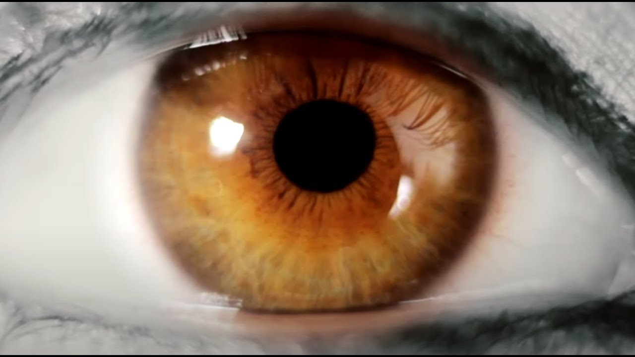 MADE FOR HUMANS 'Reincarnation' - YouTube