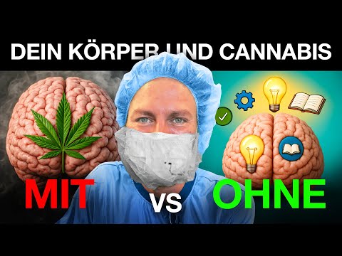 Körper MIT vs. OHNE Cannabis: Was passiert wirklich im Körper?