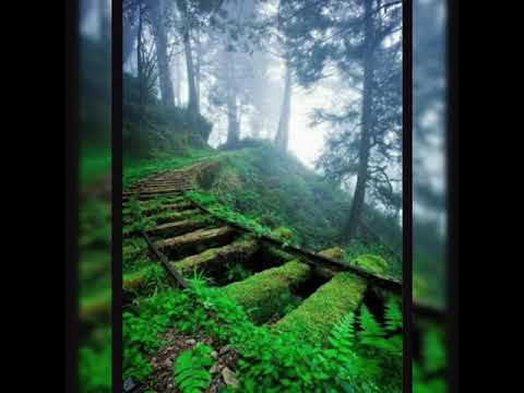 Krank - Sweet Dreams.Piano melodiya