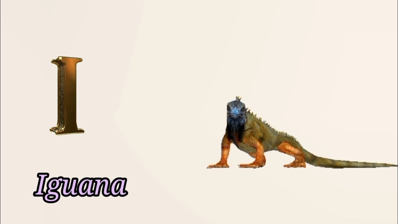 a for ant| animals names in English| preschool learning for kids| abcd ...