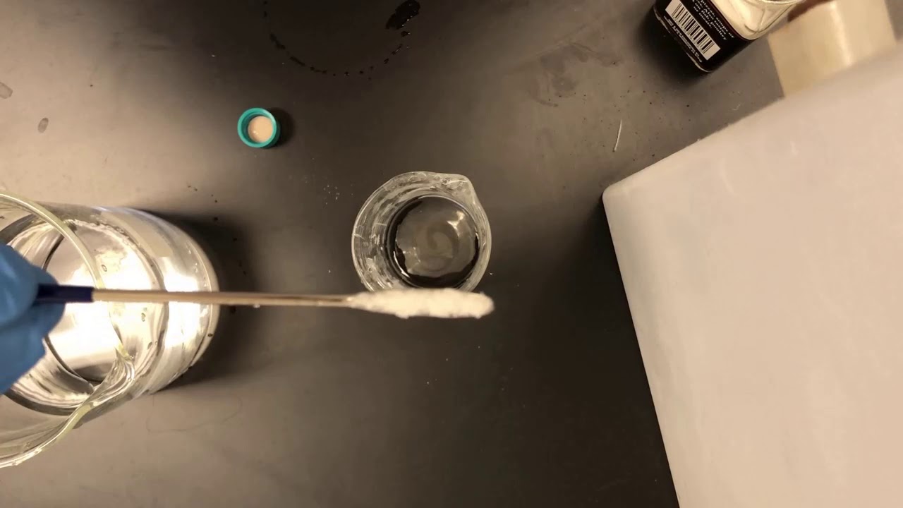 Polymer Gel Swelling Demonstration - YouTube