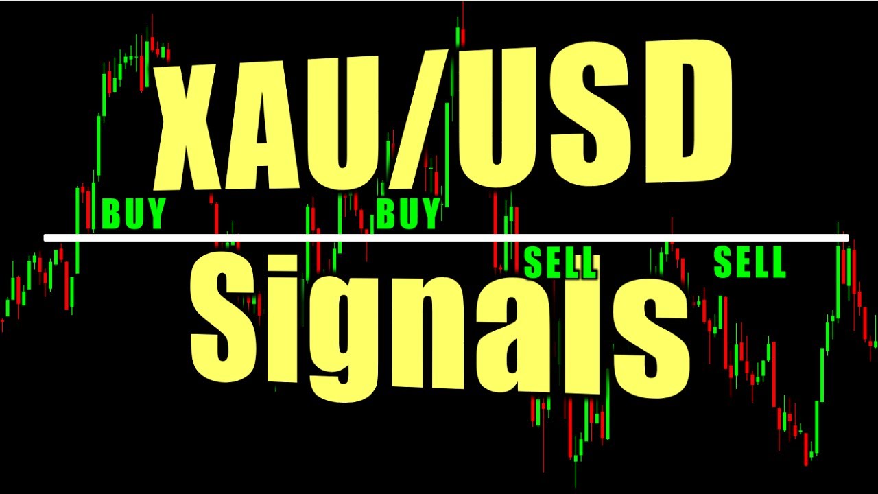 Scalping XAU/USD Strategy Forex Daily Signals Trading Gold Channel ...