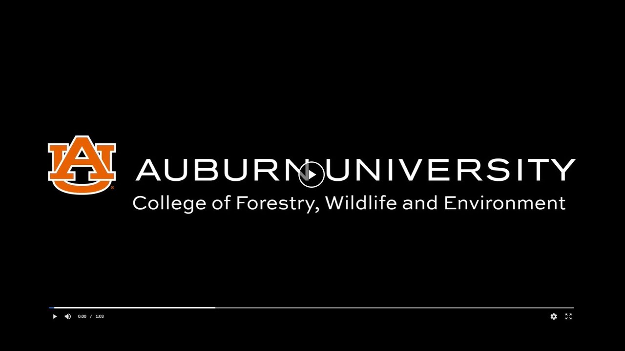 CFWE graduate students selected to receive funding through the federal ...