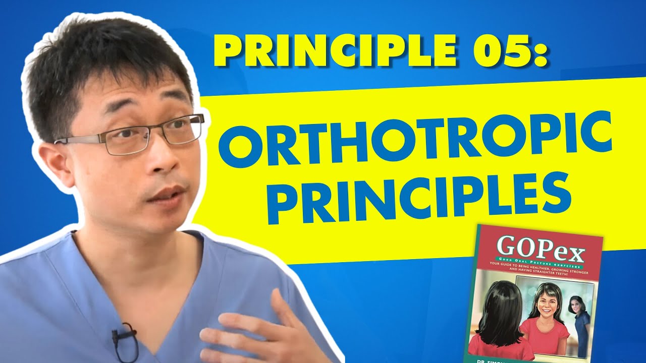 GOPex Principles 05 Orthotropic Principles - YouTube