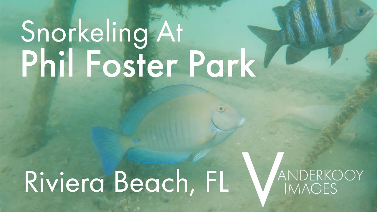Phil Foster Park - Riviera Beach, FL - Outdoor Adventures (4K) - YouTube