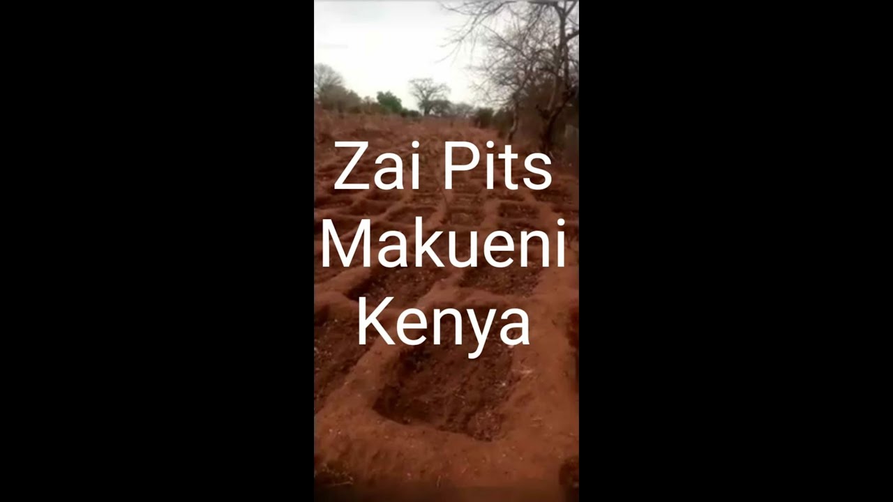 iCow Soil Advocate Sammy Mutuku and Zai Pits - YouTube