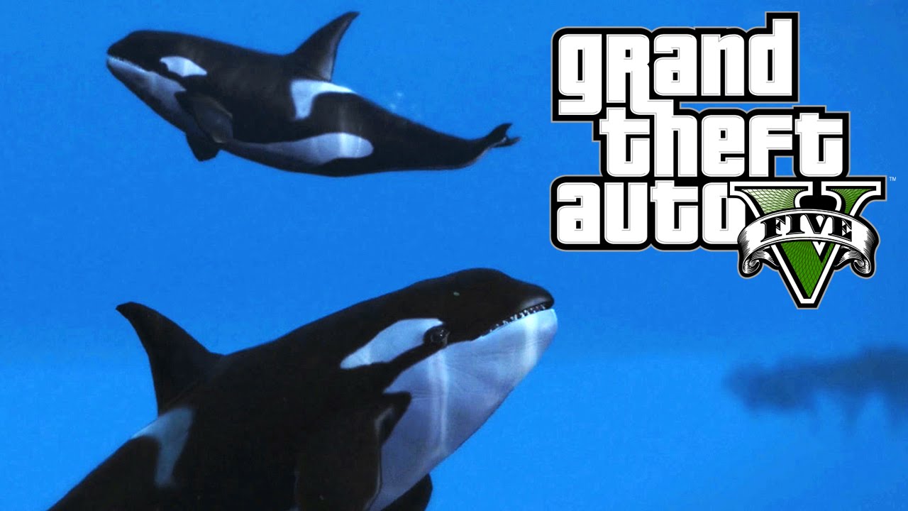 GTA V on PS4 - Whale Watching - YouTube