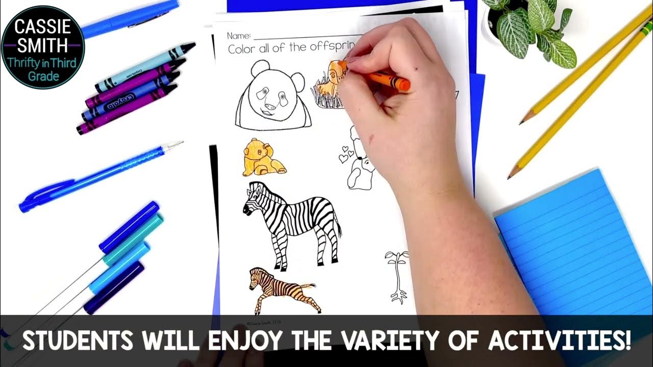 1st Grade Plants and Animal Activities Structure, Function, and ...