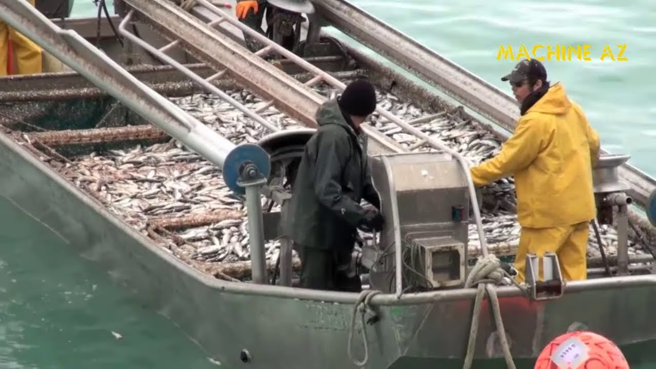 Catching Tuna on The Big Sea #56 - Deadliest catch 2020 - Wicked Tuna ...