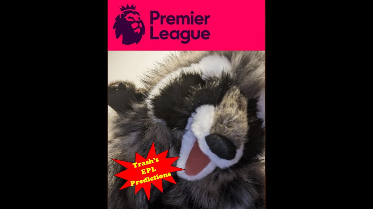 ALL EPL Predictions for week 38! - YouTube